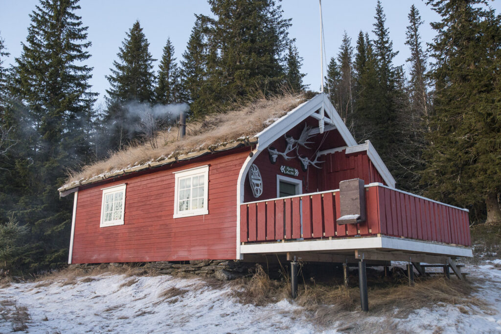 Red Cabin - Arctic Wildlife Tours | Exclusive Tours To The Arctic
