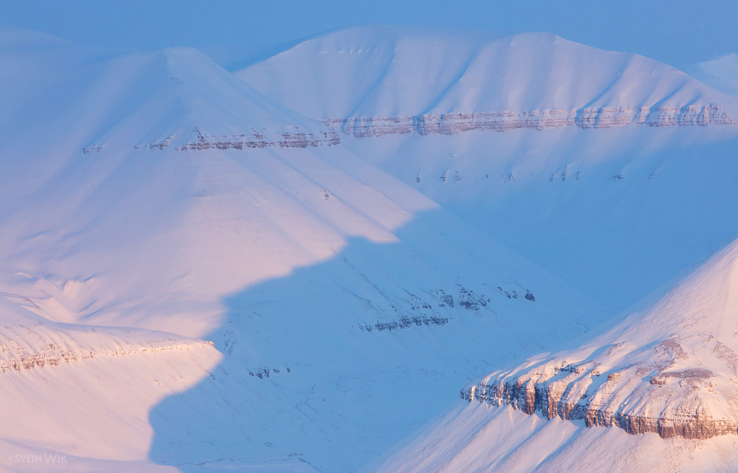 Gallery - Arctic Wildlife Tours