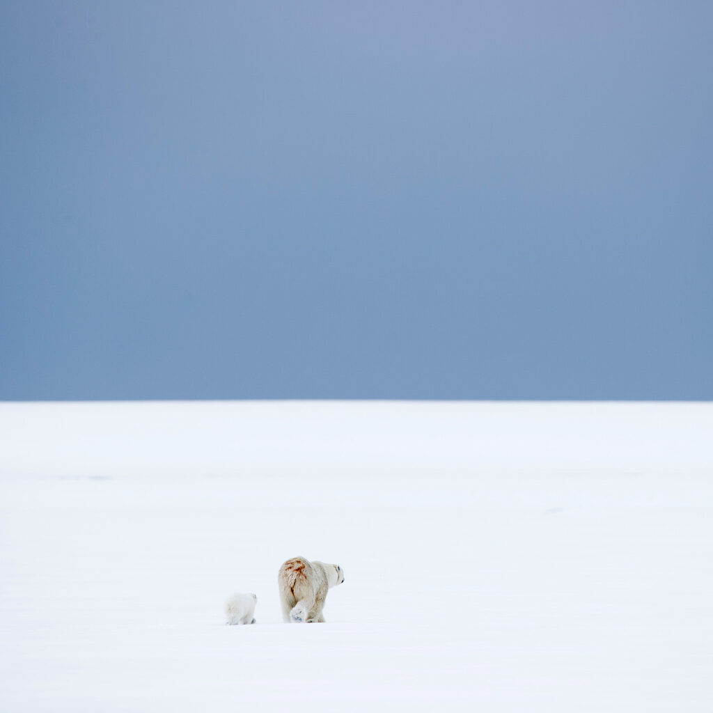 Svalbard Seasons And The Differences Between Them.