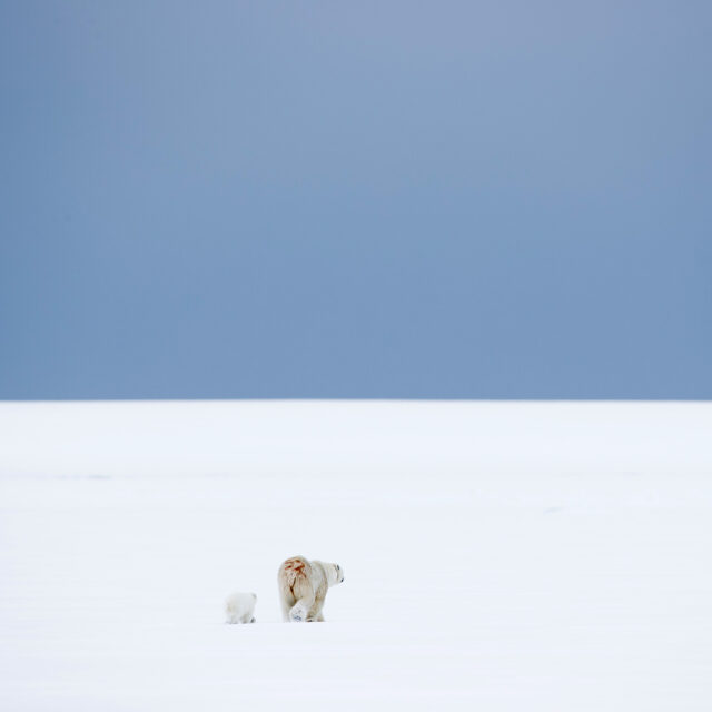 Svalbard seasons and the differences between them.